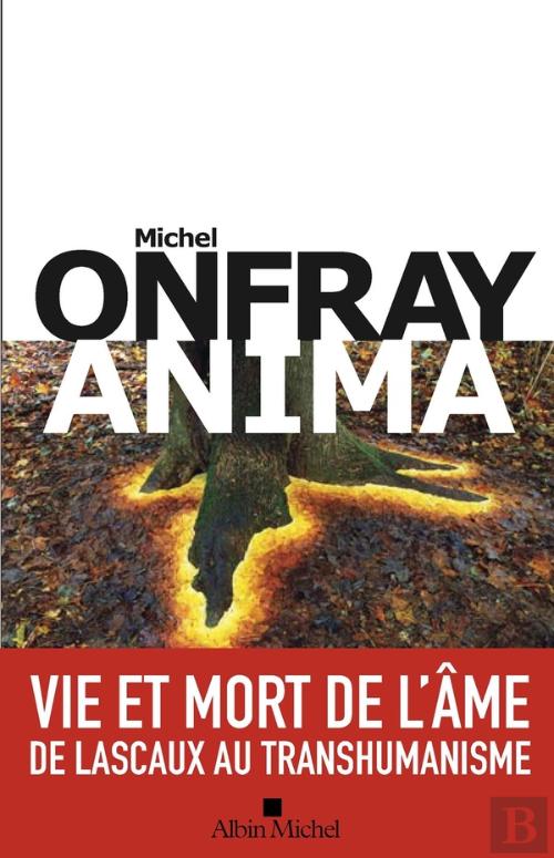 Anima : Vie Et Mort De L'Âme De Lascaux Au Transhumanisme, Michel ...