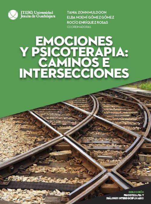 Emociones Y Psicoterapia: Caminos E Intersecciones, Tania Carina Zohn ...