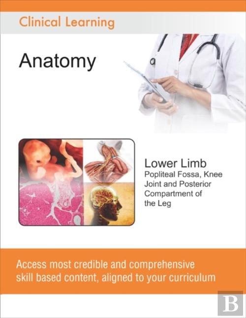 Lower Limb - Popliteal Fossa, Knee Joint And Posterior Compartment Of ...