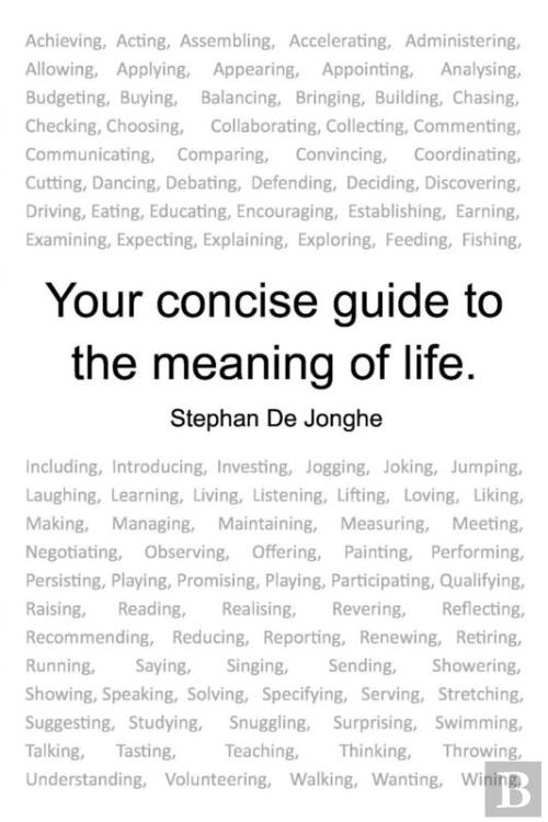 Your Concise Guide To The Meaning Of Life, Stephan J De Jonghe - eBook ...